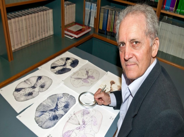 Greek-Australian neuroscientist has discovered unknown region of the ...