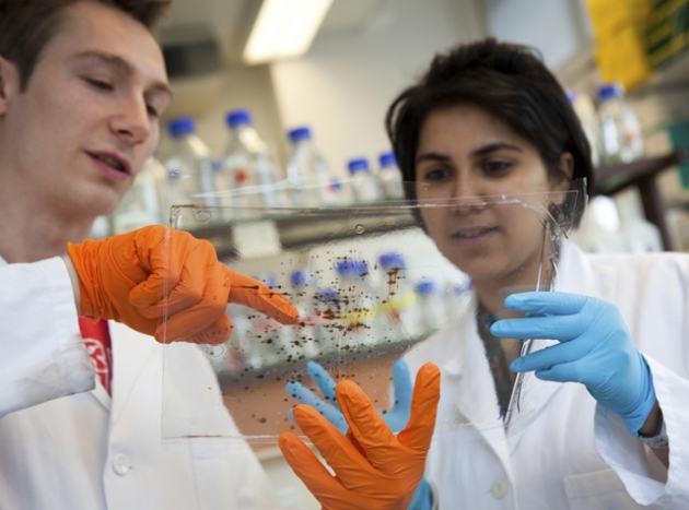 UK approves 'gene editing' of human embryo - HealthTimes