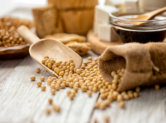 New study shows soy foods 'protect' breast cancer patients - HealthTimes