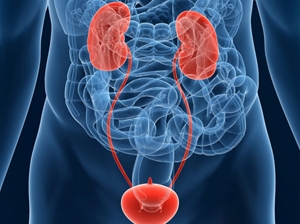 Bladder cancer hits women worse - HealthTimes